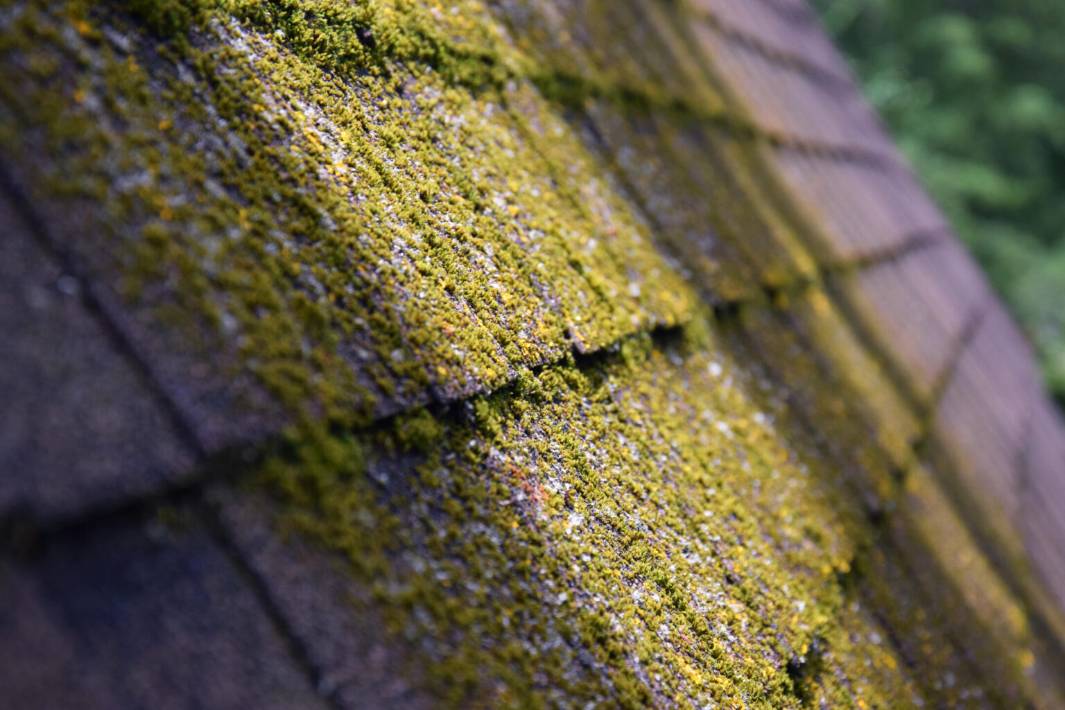 Certainteed Shingle Colors: The Top 6 To Choose From For Your Roof